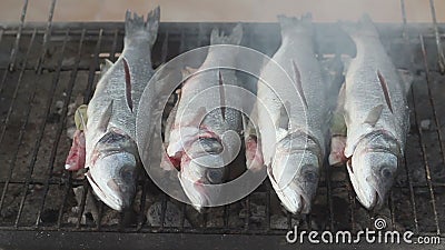 Fresh Fish Smoked on the Grill. Four Fish on the Fire Stock Video ...