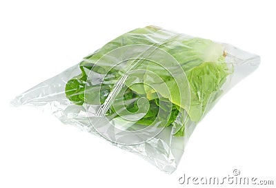 Fresh Lettuce In A Bag Royalty Free Stock Photos - Image: 28586928