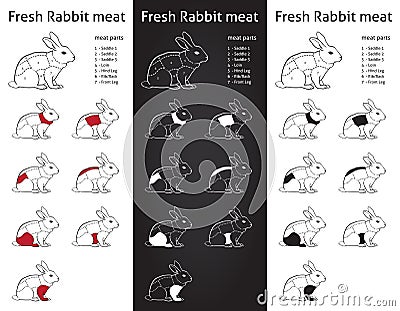 FRESH RABBIT Cuts Parts Diagram - Info-grapic Vector Illustration ...