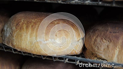 Fresh Warm Fragrant and Crispy Bread Lies on the Shelf in the Bakery ...