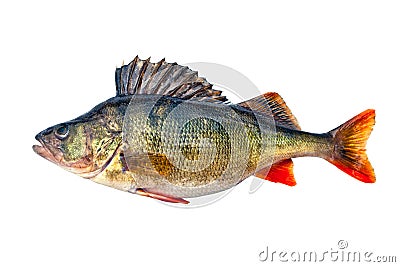 Mandarin fish stock image. Image of mandarin, ingredient - 25431681