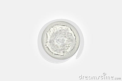 Freshwater Phytoplankton Round Diatom Algae Stephanodiscus By ...