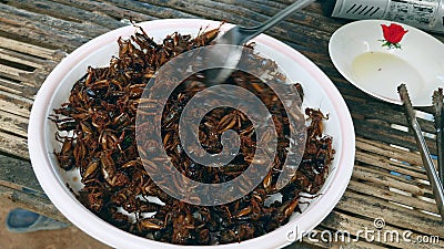 Pile of Deep Fried Grasshoppers in a Plastic Plate Stock Footage ...