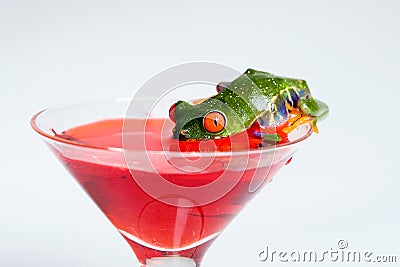 Frog Cocktail Royalty Free Stock Image - Image: 18792676