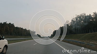 Car Ride on an Asphalt Road between Forests with Trees As in the ...