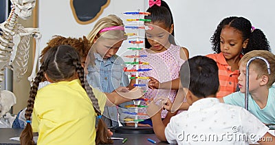 Front View of Mixed-race Schoolkids Studying about Dna Molecule Model ...