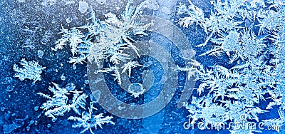 Frozen Ice Flowers Royalty Free Stock Image - Image: 22850316