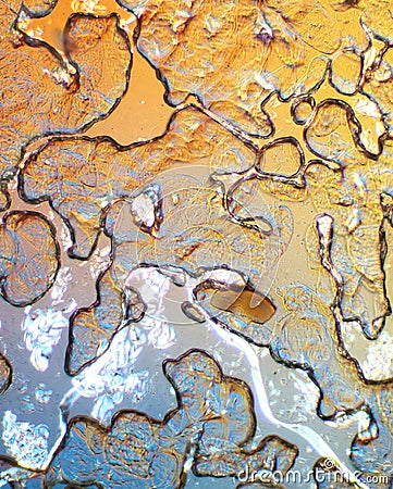 Fruit Pulp Under Microscope Stock Image | CartoonDealer.com #50412307