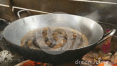 Deep Fried Snakes in Wok Cooking Stock Footage - Video of fried ...