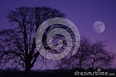 Full Moon Stock Photo - Image: 1530870
