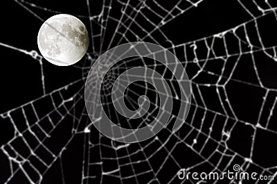 Full Moon And Blurred Spider Web Royalty Free Stock Photography - Image ...