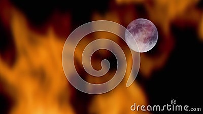 Fire with Moon in Background Stock Footage - Video of full, night: 61539184