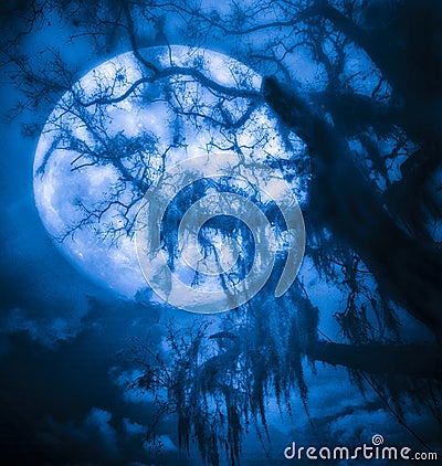 Werewolf Full Moon Tree Royalty-Free Stock Photography | CartoonDealer ...