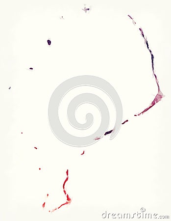 Funafuti Island Watercolor Map Of Tuvalu Royalty-Free Cartoon ...