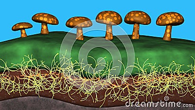 Fungal System Growing Beneath The Earth , Soil. Mycelium Network .3d ...