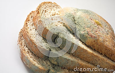 Fungus On Bread Stock Images - Image: 9754394