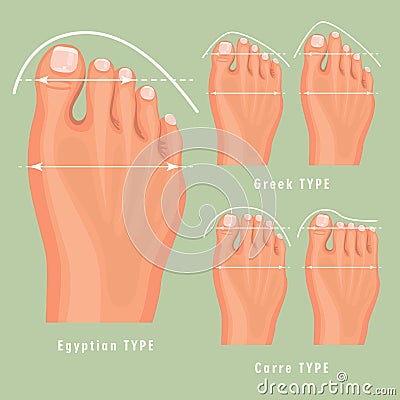 Foot Type Vector Detailed Concept With Germanic, Celtic, Greek And ...