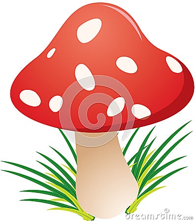 Funky Toadstool Royalty Free Stock Photo - Image: 1021705