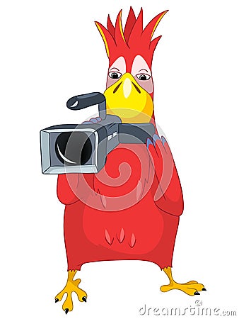 Funny Parrot. Cameraman. Stock Image - Image: 25201221