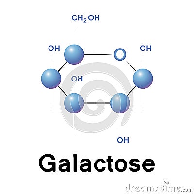 Galactose Stock Vector - Image: 40168363