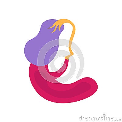 Gallbladder Icon Vector Sign And Symbol Isolated On White Background ...