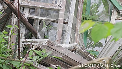 Garbage Dump in the Forest, Environmental Pollution, Sunny Summer Day ...