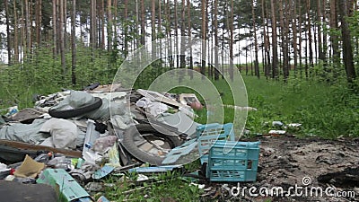 Garbage Dump in the Forest, Environmental Pollution, Sunny Summer Day ...