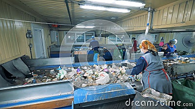 Garbage Plant with Workers. People Work at a Plant, Sorting Litter on ...