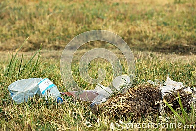 Garbage Scattered On Grass. Environment Pollution Problem Stock ...