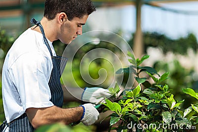 Gardener Working Royalty Free Stock Images - Image: 27064299