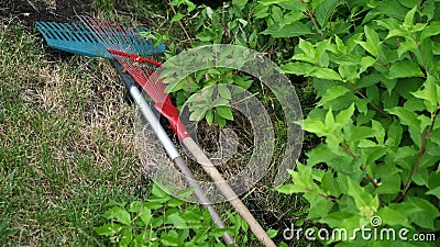 Gardening Tools.garden Rake Lying in the Garden Stock Video - Video of ...