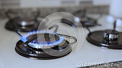 Gas Stove Lit for Cooking. Blue Fire, Fuel, Burner Stock Footage ...