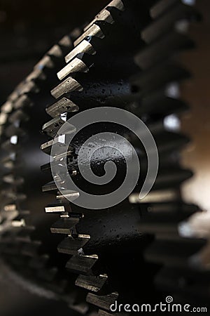 Gear Wheel Royalty-Free Stock Photography | CartoonDealer.com #16027745