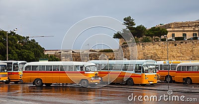 Gelbe Busse. Malta Lizenzfreie Stockbilder - Bild: 17633529
