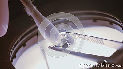 A Gemologist Inspecting a Large Diamond Under a Microscope Stock Video ...