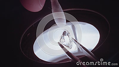 A Gemologist Inspecting a Large Diamond Under a Microscope Stock Video ...