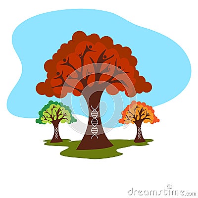 Genetic Family Tree History Cartoon Vector | CartoonDealer.com #50006795