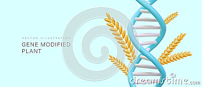 Genetically Modified Plant. 3D Spikelet And DNA Double Helix ...