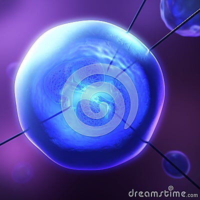 Genetically Modified Twin Embryos In A Blue Transparent Bubble And ...