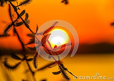 Gentle Touch Stock Photo | CartoonDealer.com #56957394