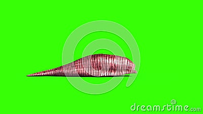 Giant Worm Monster Attacks Side Green Screen 3D Rendering Animation ...