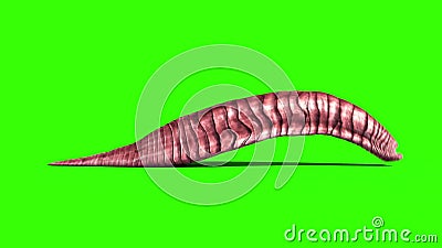 Giant Worm Monster Crawl Loop Side Green Screen 3D Rendering Animation ...