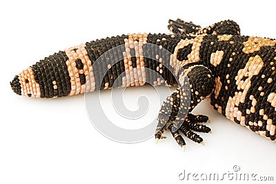 Gila Monster (Heloderma Suspectum) Stock Photos - Image: 6265753