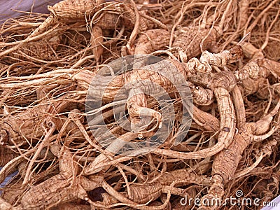 Ginseng stock image. Image of natural, herbal, elixir - 6411739