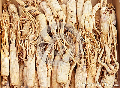 Ginseng stock image. Image of natural, herbal, elixir - 6411739