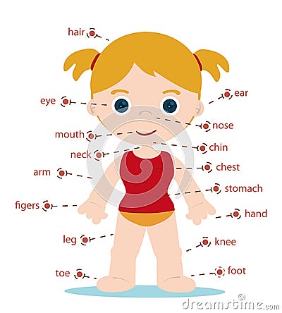 Girl Body Parts Royalty Free Stock Photography - Image: 25932477