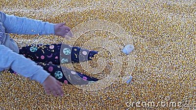 Girl in Corn Pit stock video. Video of autumn, agribusiness - 259221951