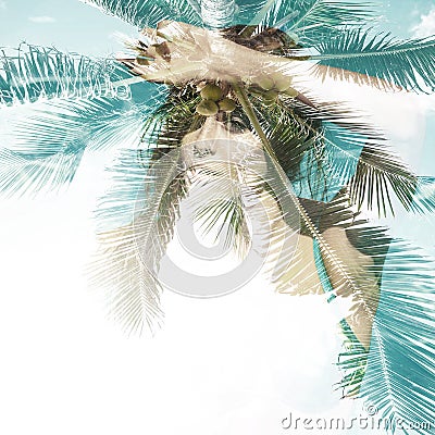 Girl In Pool Summer Vibes Double Exposure Stock Image | CartoonDealer ...