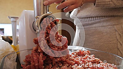 Girl Using a Meat Grinder Prepares Ground Beef. Moulded Meat Stock ...