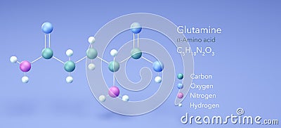 Glutamine, Molecular Structures, Amino Acid, 3d Model, Structural ...